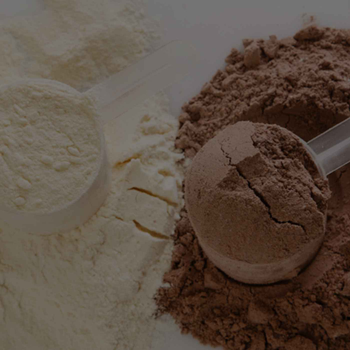Protein Powder – Rebel Fit Nutrition
